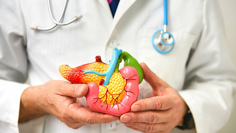 Krebsarten | Das K Wort