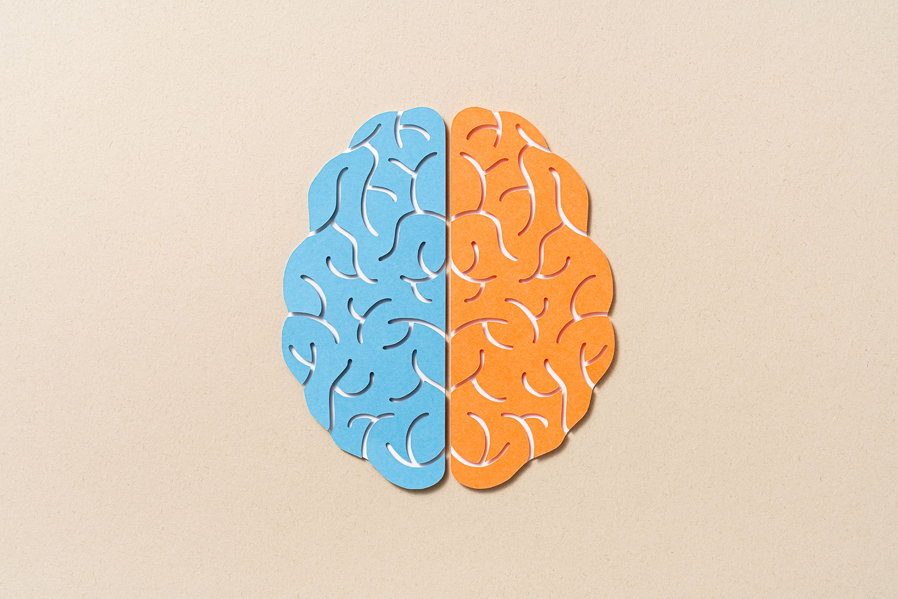 Hirntumore: Symptome, Diagnose und Therapie & Das K Wort